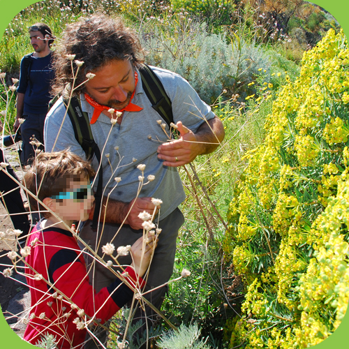 Nesos, trekking and nature at the Aeolian Islands